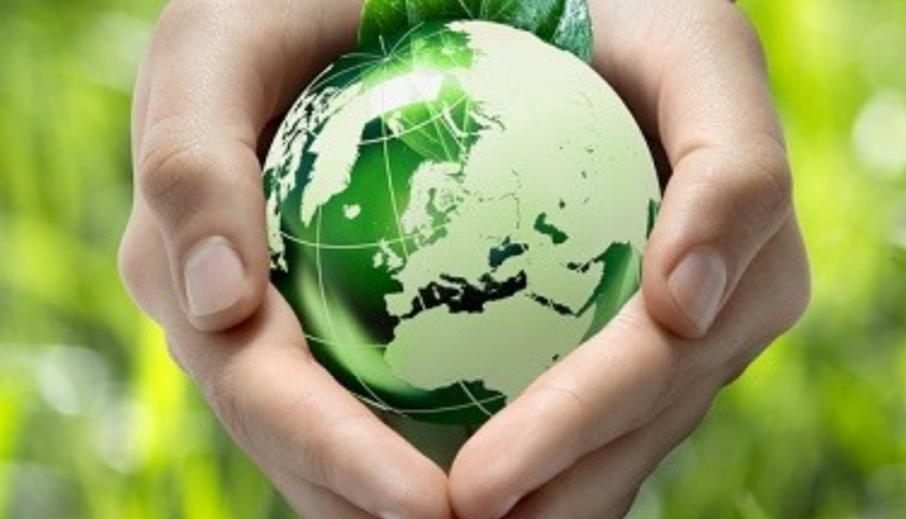 Home [www.wsh.nhs.uk]